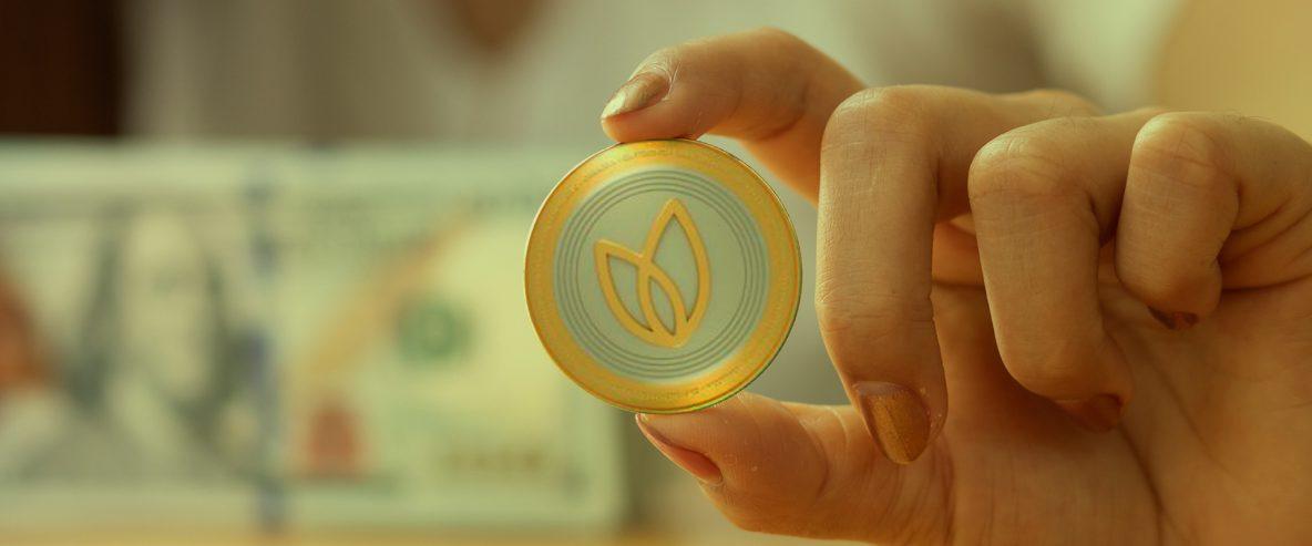 Cibra lança o CibraCoin - Cibra Fertilizantes