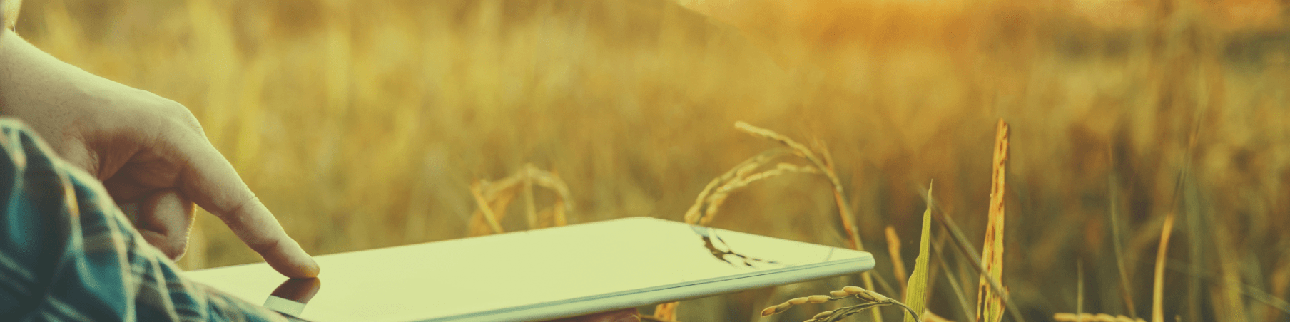 CibraStore - Cibra Fertilizantes