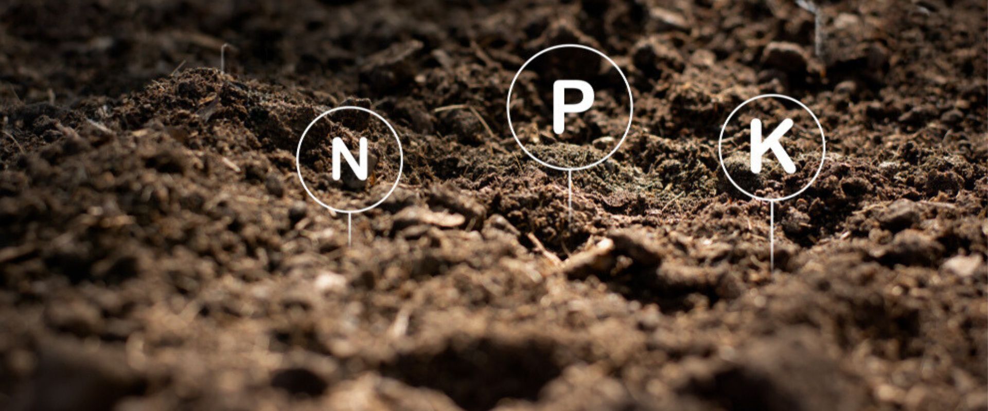 Fertilizante NPK: Máxima eficiência agrícola