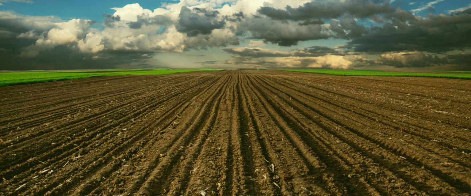 Como a Textura dos Solos Afeta a Fertilidade da Plantação